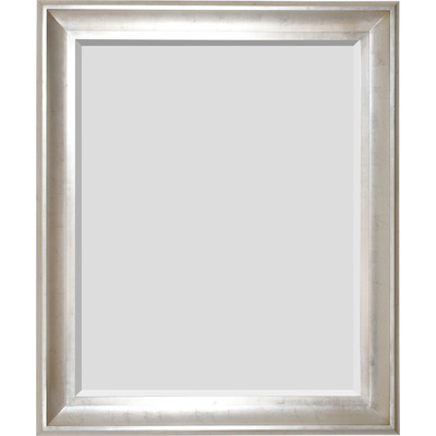 AFD The Sterling Mirror 48X60 Silver with Champagne Wash - Homethangs
